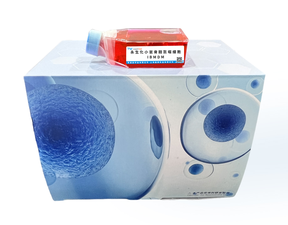 永生化小鼠骨髓巨噬细胞；iBMDM价格-永生化小鼠骨髓巨噬细胞；iBMDM说明书-上海通蔚实业有限公司