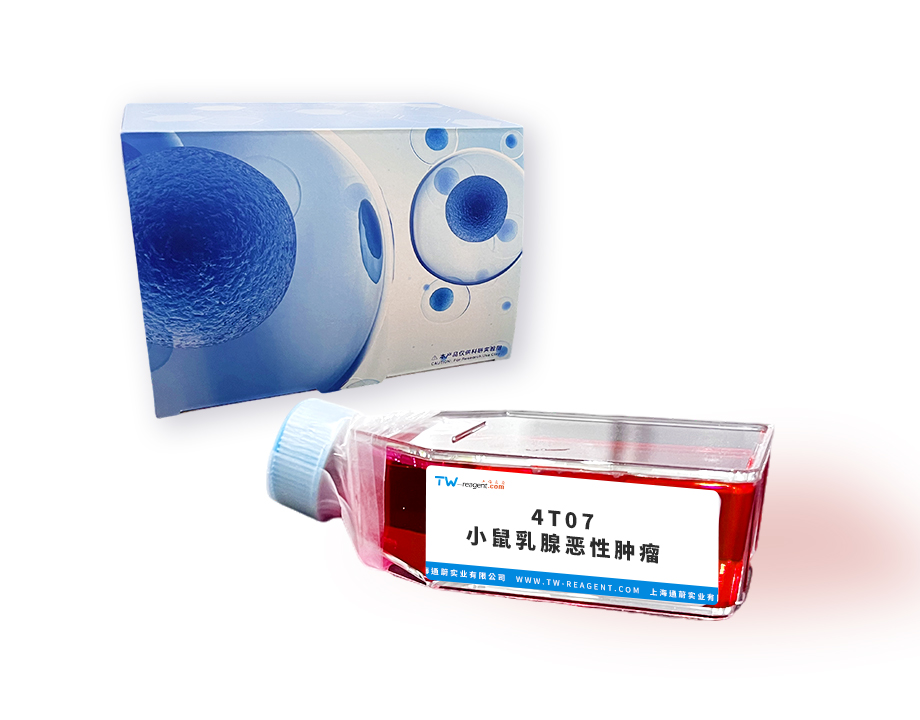 4T07小鼠乳腺恶性肿瘤价格-4T07小鼠乳腺恶性肿瘤说明书-上海通蔚实业有限公司