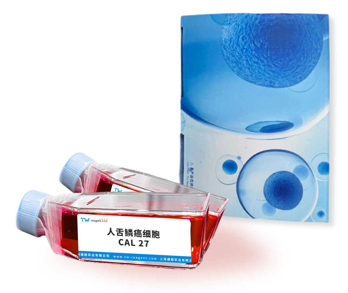人舌鳞癌细胞 ; CAL 27价格-人舌鳞癌细胞 ; CAL 27说明书-上海通蔚实业有限公司